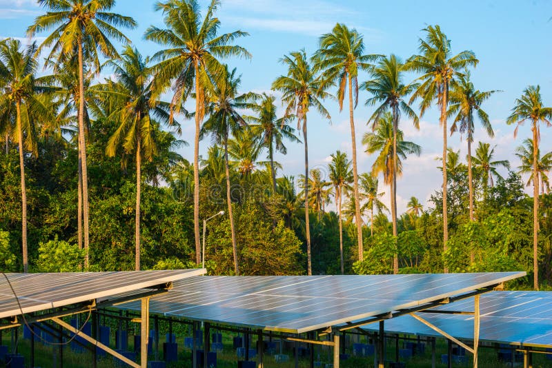 Solar Panels on a Tropical Island Stock Image - Image of tropical ...