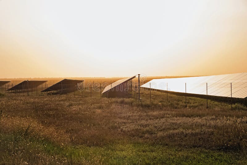 Solar Panels in Warm Sunset Light with Sun Reflecting on Its Surface ...
