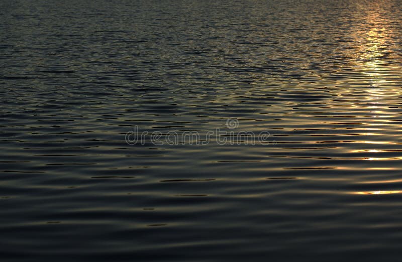 Solar Path Water Ripples Water Surface Light Waves Stock Photos - Free ...
