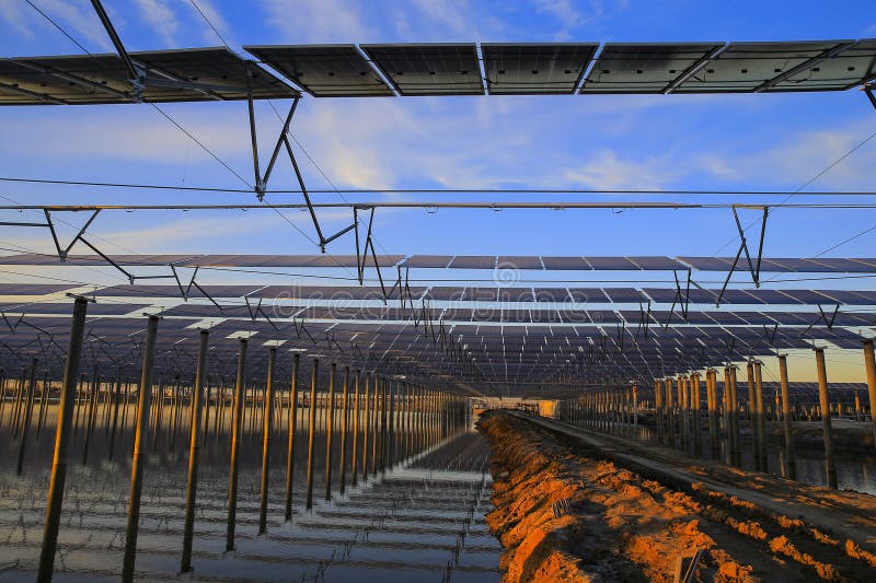 Solar Photovoltaic Panels and Solar Photovoltaic Power Generation ...