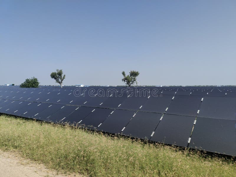 Solar Plant in Rajasthan India Stock Photo - Image of lawn, tree: 254952186