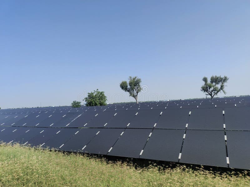 Solar Plant in Rajasthan India Stock Image - Image of grass, farm ...