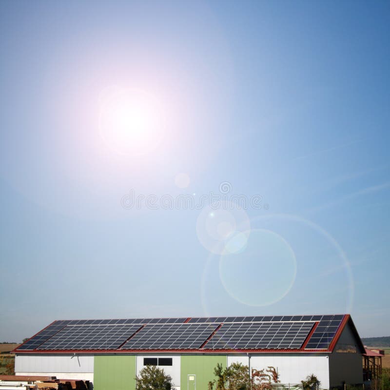 Solar Plants in the House during Sunny Weather Stock Image - Image of ...