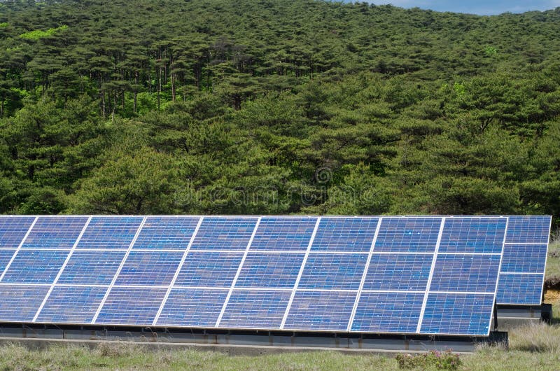 Solar power and forest stock photo. Image of equipment - 25808784
