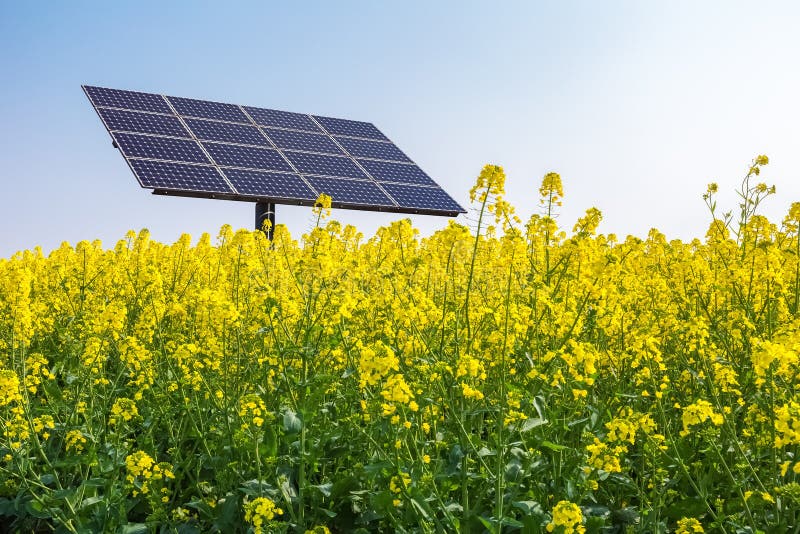 Solar Panels Over Spring Landscape Stock Photos - Free & Royalty-Free ...