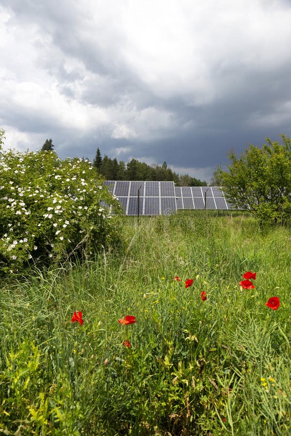 Solar Power Station on the Spring Flowering Meadow Stock Photo - Image ...