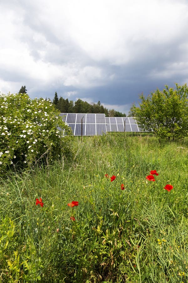 Solar Power Station on the Spring Flowering Meadow Stock Image - Image ...