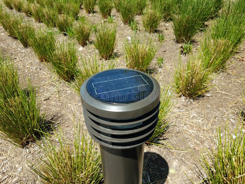 Solar Powered Light with Green Grasses in the Soil Stock Photo - Image ...