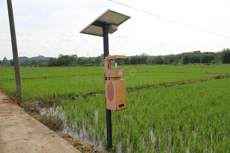 The Solar-powered Ultrasonic Gnome and Rain Sensor is Mounted on a Pole ...