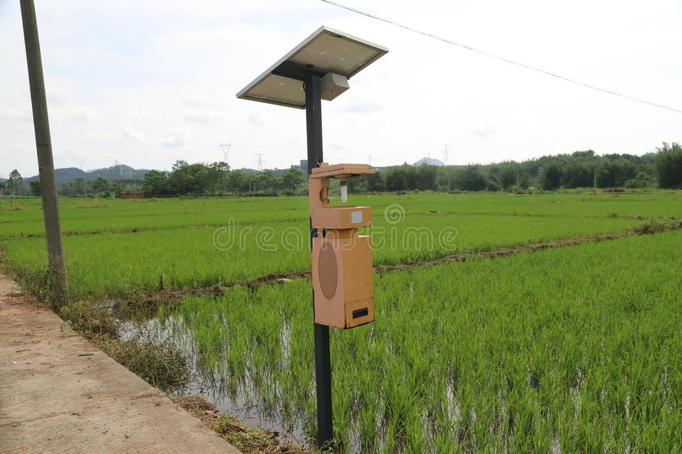 The Solar-powered Ultrasonic Gnome and Rain Sensor is Mounted on a Pole ...