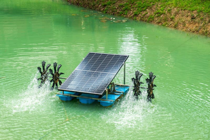 Solar-powered Water Aerator System with Rotating Paddles in a Pond for ...