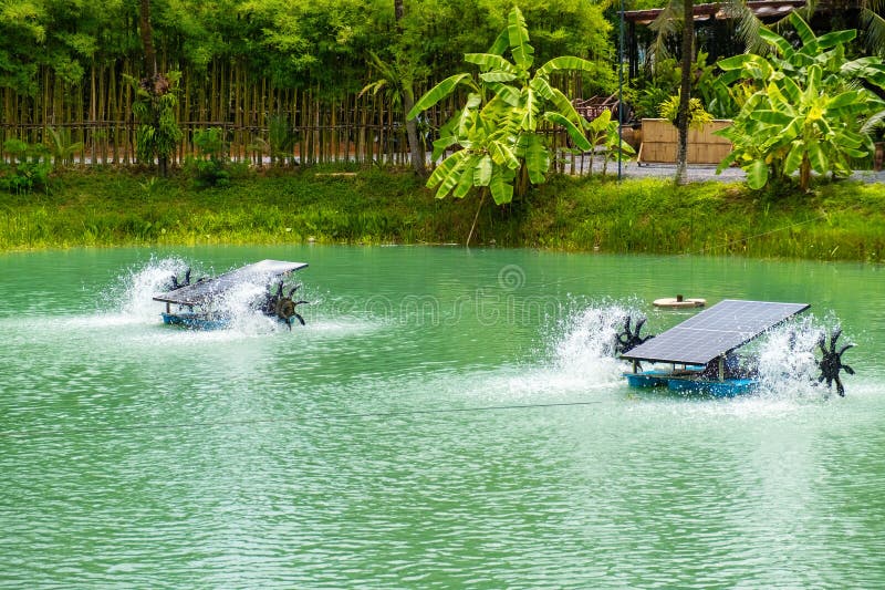 Solar-powered Water Aerator Systems with Rotating Paddles in a Pond for ...