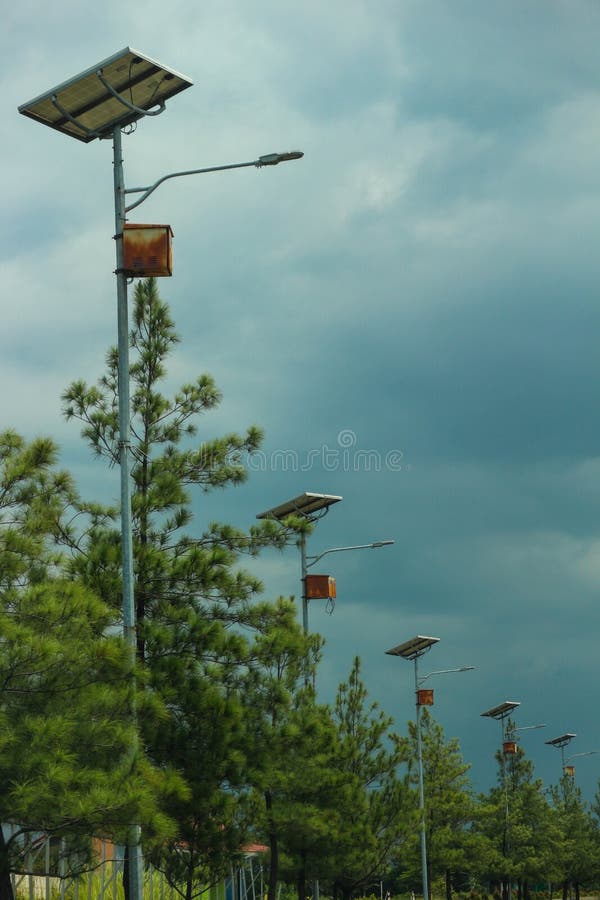 Solar Public Street Lighting is a Lighting Solution for Roads Stock ...