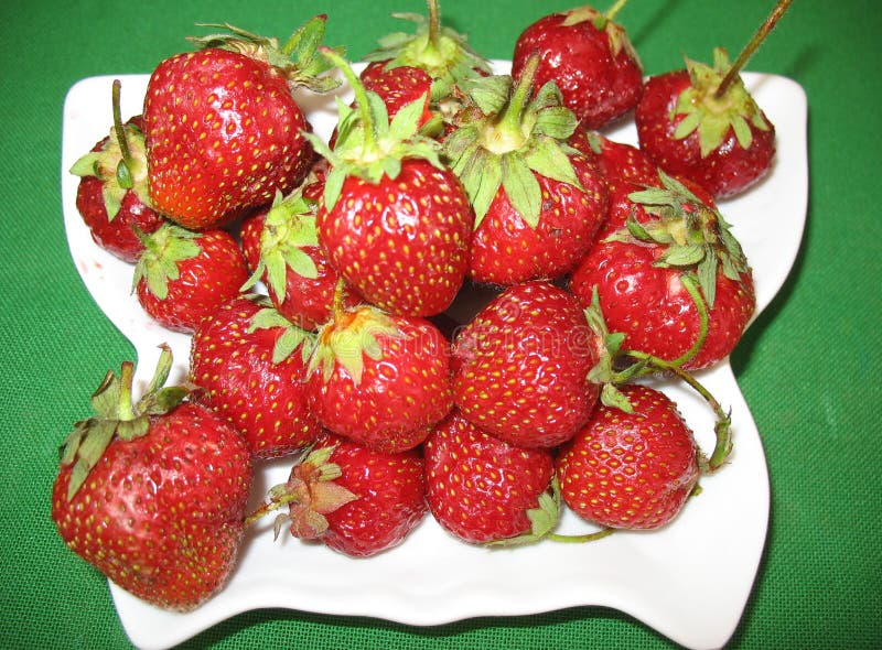Solar strawberries stock image. Image of nbright, treat - 55370103