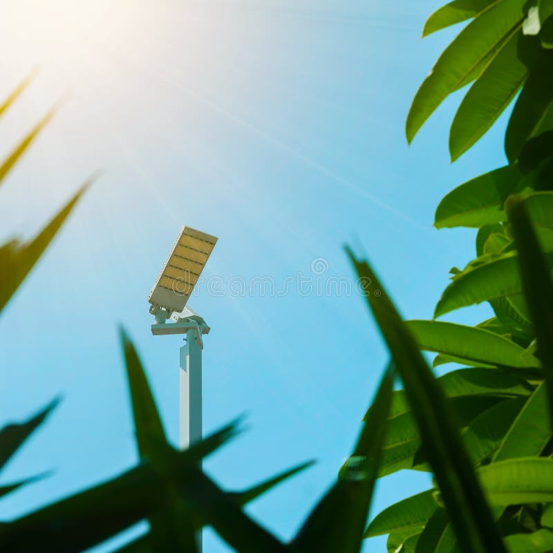 Solar Street Lights To Illuminate the Night Stock Photo - Image of ...