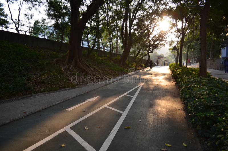 A Solar Walkway in the City, Path through the Forest Editorial Image ...