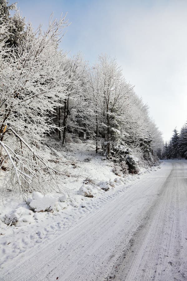 Winter Morning in the Mountains Stock Image - Image of snow, outdoors ...