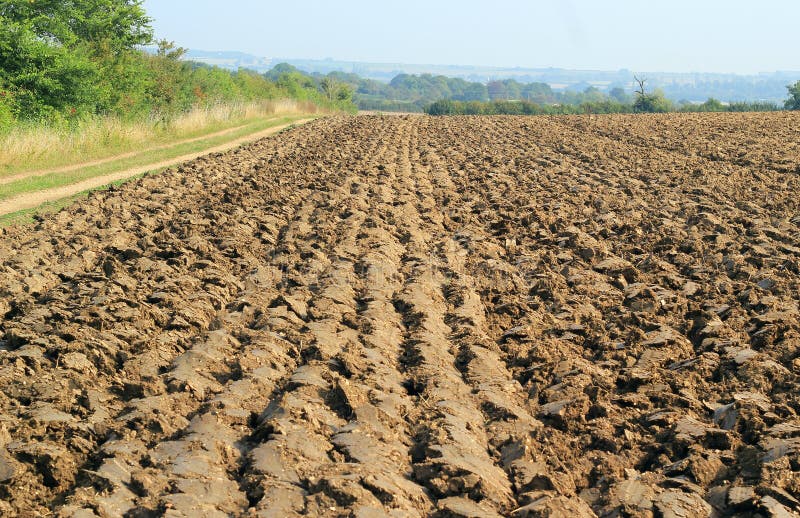 Solchi Diritti Su Un Campo Arato O Arato Immagine Stock - Immagine di ...