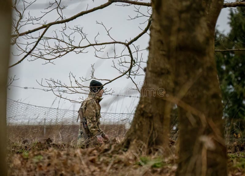 Soldier in a Forest Environment, Walking in the Foreground with Tall ...