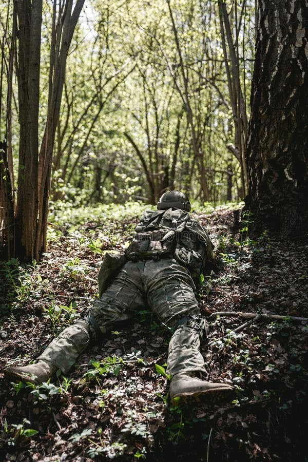 In Ambush Lies a Cheetah with an Orange Skin, Lit by the Sun on a Green ...