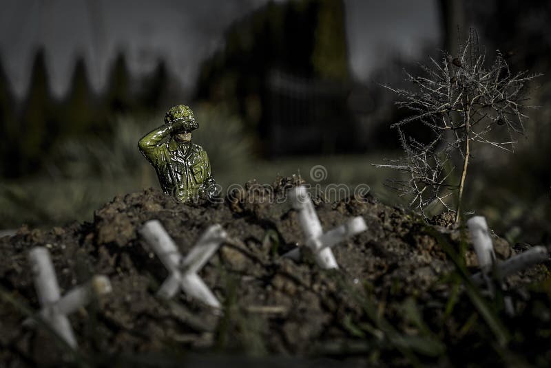 Soldier at War in the Swamp Stock Image - Image of armed, rifle: 46463807