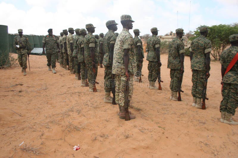 Military Aircraft Formation Picture. Image: 101606203