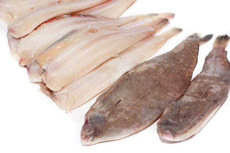 Sole stock photo. Image of healthy, fish, lunch, flounder - 24321318