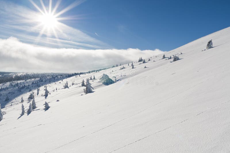Sole d'inverno fotografia stock. Immagine di congelato - 18009772