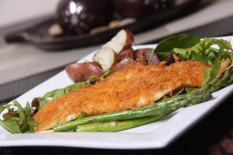Sole fish fillet stock photo. Image of fritter, mesclun - 32115794