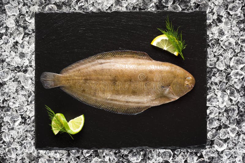 Sole Fish on Ice on a Black Stone Plate Stock Photo - Image of black ...