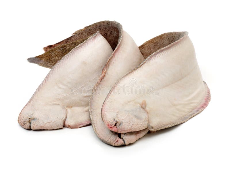1,875 White Sole Fish Stock Photos - Free & Royalty-Free Stock Photos ...