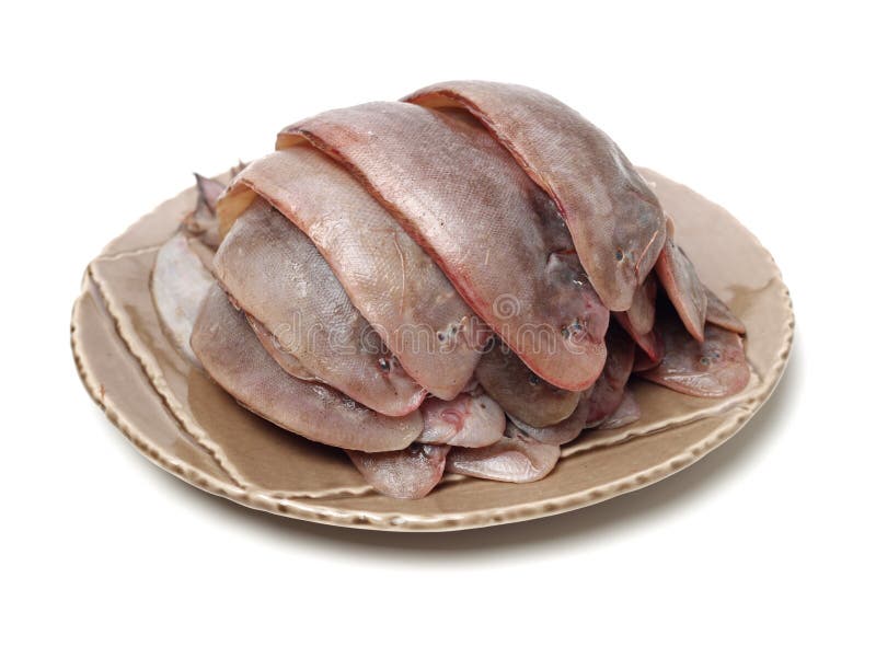 Sole fish stock photo. Image of food, horizontal, healthy - 141342284