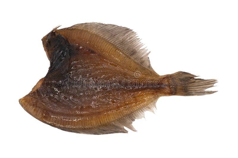 Solha Seca Isolada Em Fundo Branco. Fundo Da Solha Seca. Flatfish Seco ...