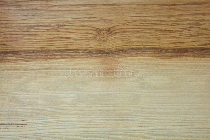 Solid Ash wood structure stock photo. Image of woodplank - 266144040