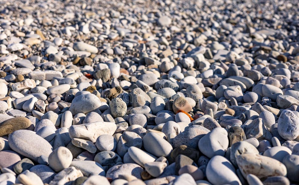 Solid Background of Stones from the Seashore. Texture of Round Sea ...