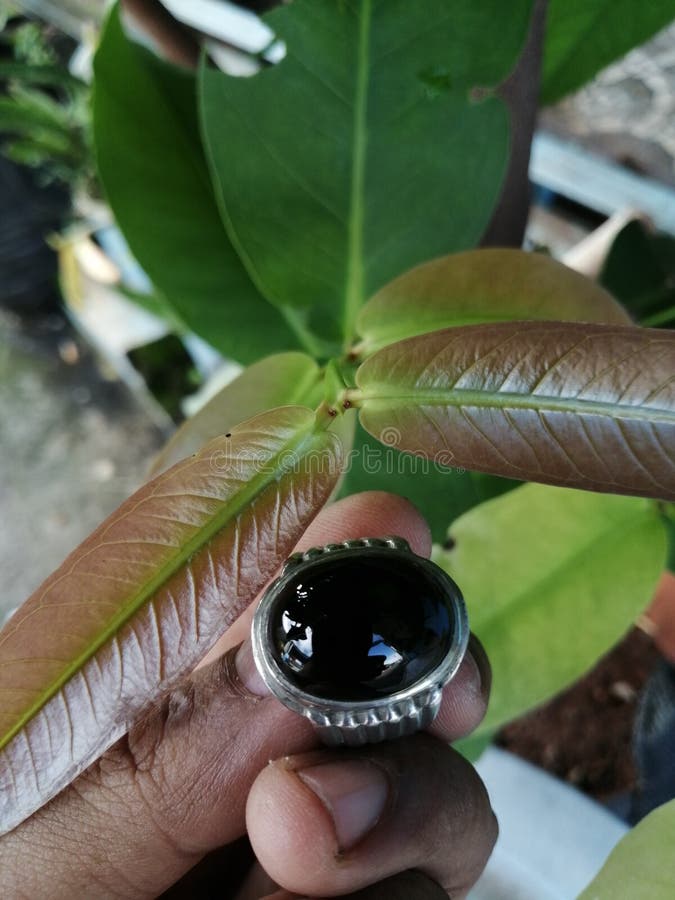 Solid Black Stone Ring and Body Glass Stock Photo - Image of glass ...