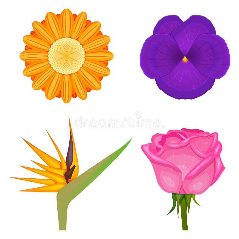 Solid colors flowers set stock vector. Illustration of florals - 42991404