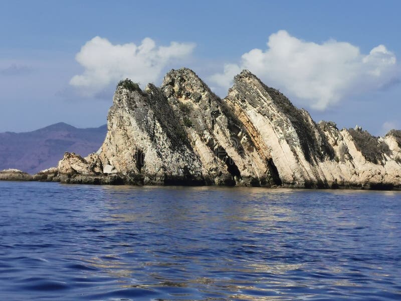 Solid coral in the ocean stock photo. Image of bajo - 303564118