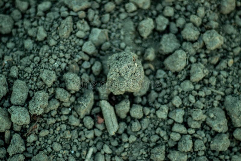 Solid Dry Soil when Rocks Break Up into Their Constituent Parts Stock ...