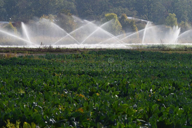 Irrigationsystems Stock Photos - Free & Royalty-Free Stock Photos from ...