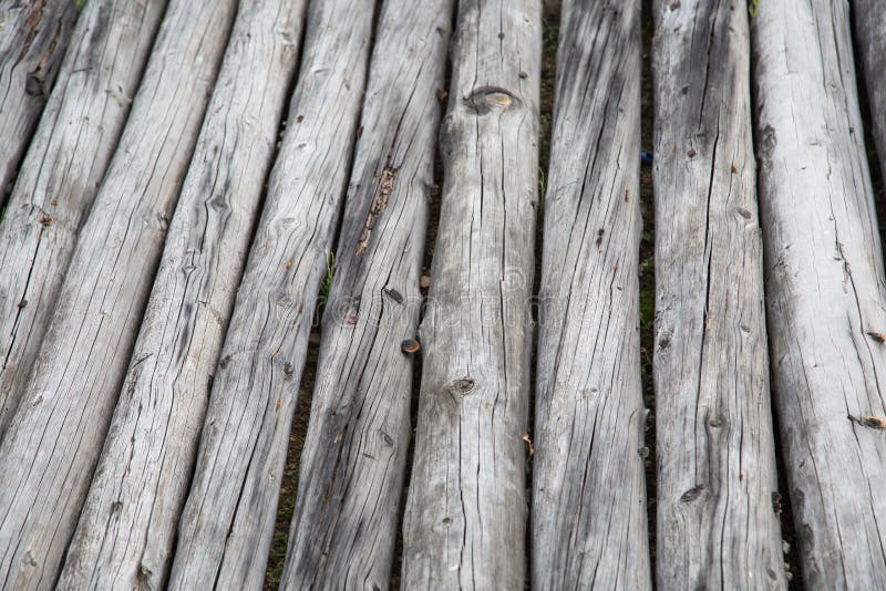 Solid Log Road Surface, USSR. Fortification Military Equipment Stock ...