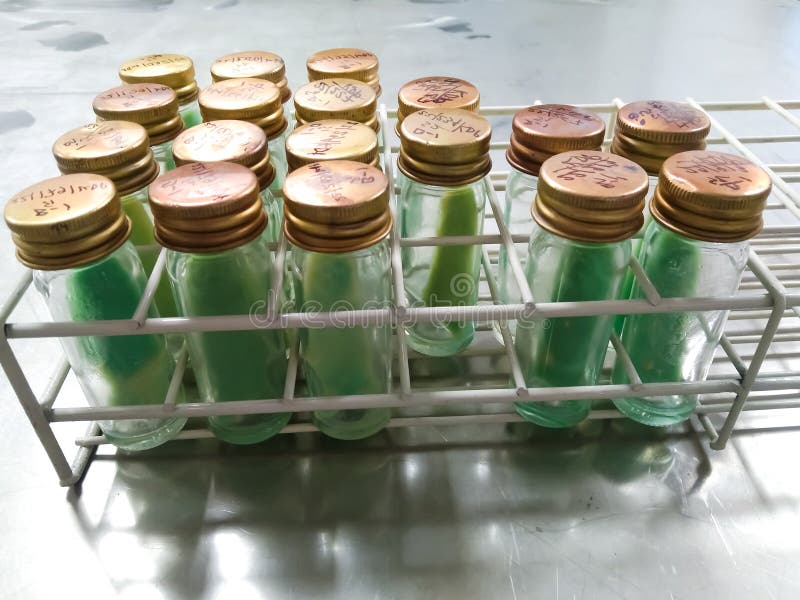 Lowenstein Jensen Stock Photos - Free & Royalty-Free Stock Photos from ...