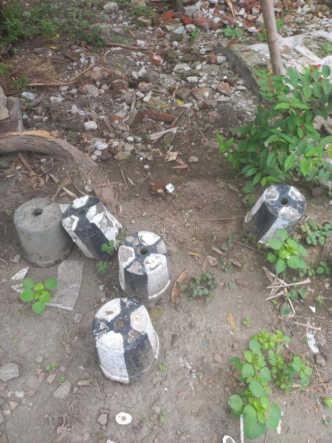 Solid natural object stock photo. Image of wildlife - 259068304