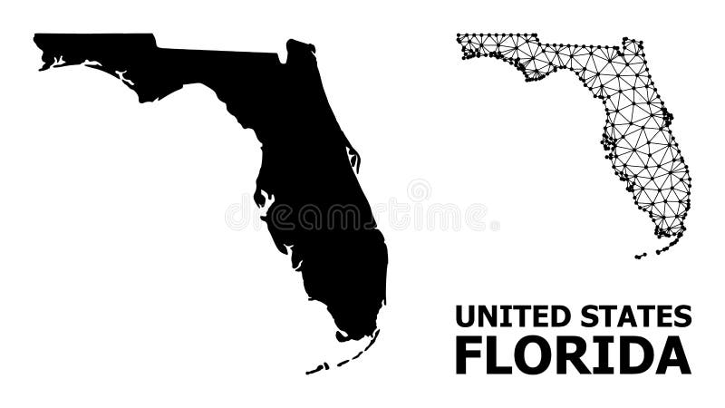 Solid and Network Map of Florida State Vector Illustratie ...