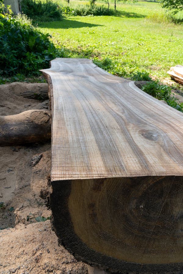 Solid Oak Beam from Which Wide Boards Will Be Cut Stock Photo - Image ...