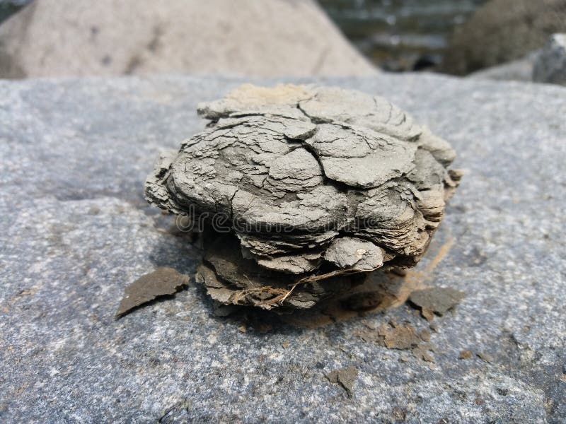 Solid Rock stock photo. Image of solid, contrast, stuck - 801446