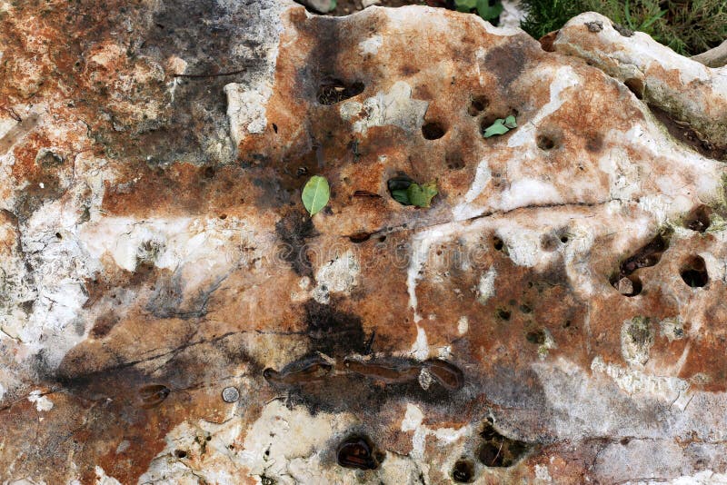 Solid Texture and Stone Structure Stock Image - Image of nature ...