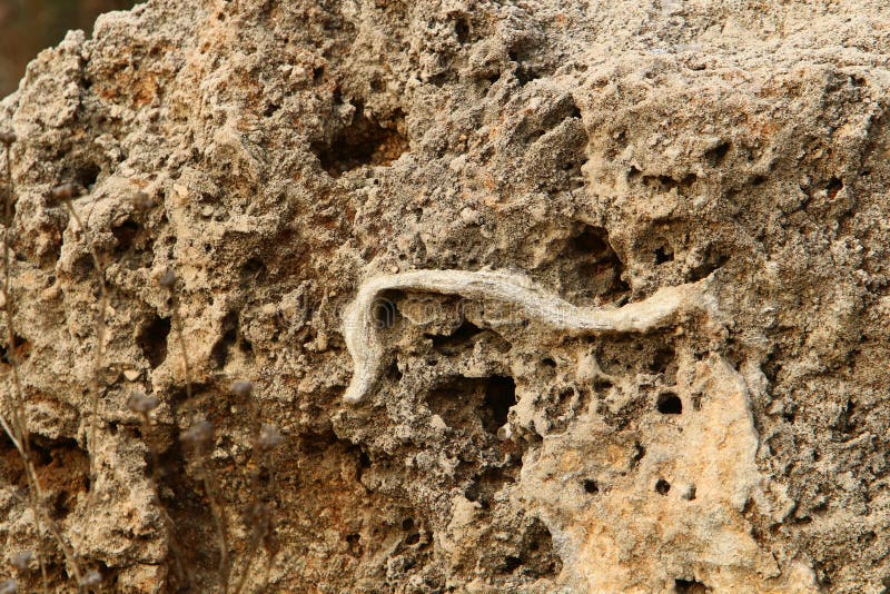 Solid Texture and Stone Structure Stock Photo - Image of boulders ...