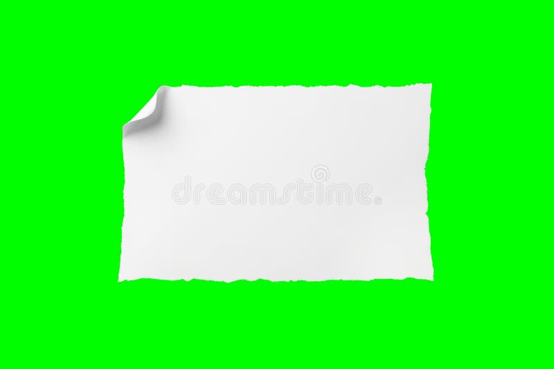 Solid White Sticker Sheet on Green Background Graphic Design Blank ...