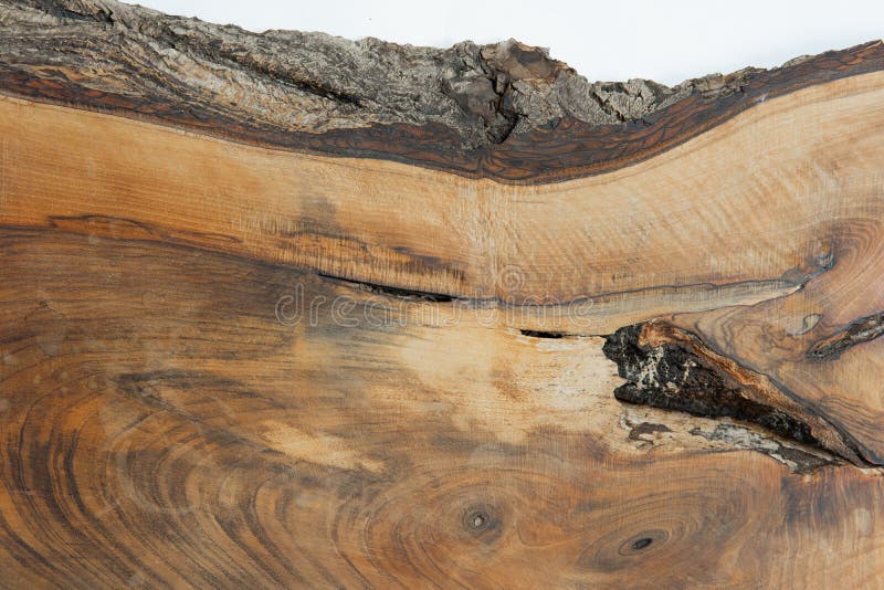 Walnut Tree Slab, Solid Wood Detail with Crack and Bark Stock Image ...